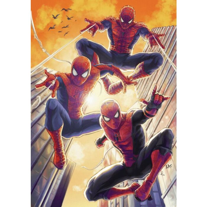 Spider-man Trio - portrait