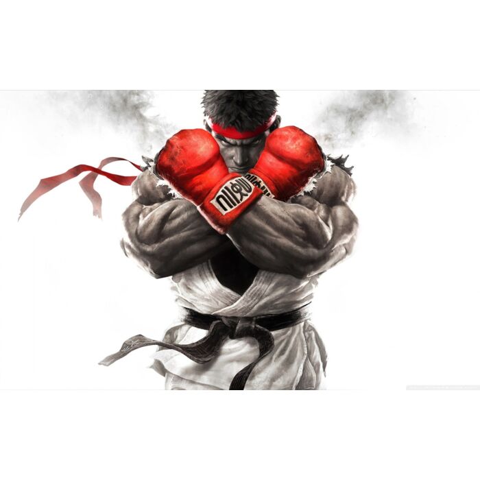 Street Fighter Ryu - Portrait