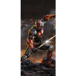 Deathstroke - Portrait